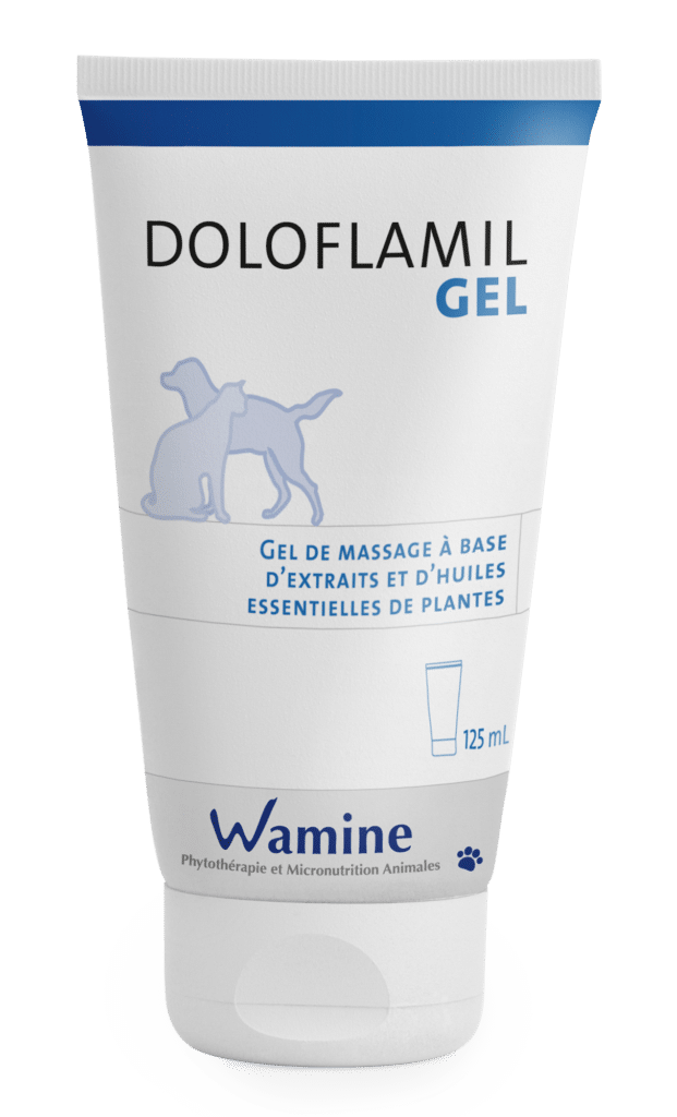 Doloflamil Gel - Wamine