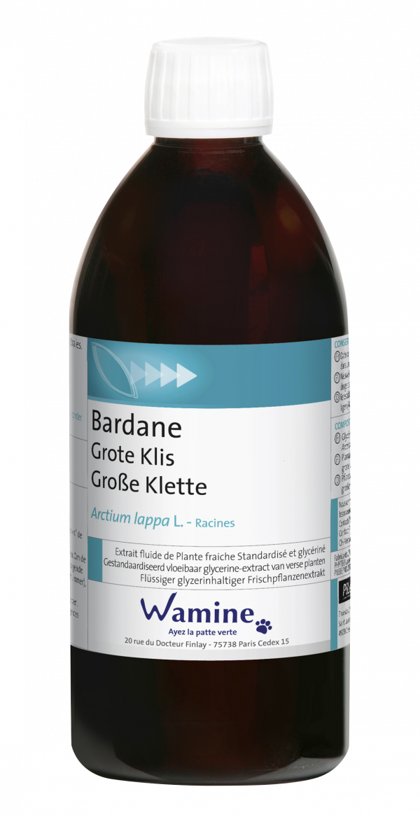 Bardane - Wamine