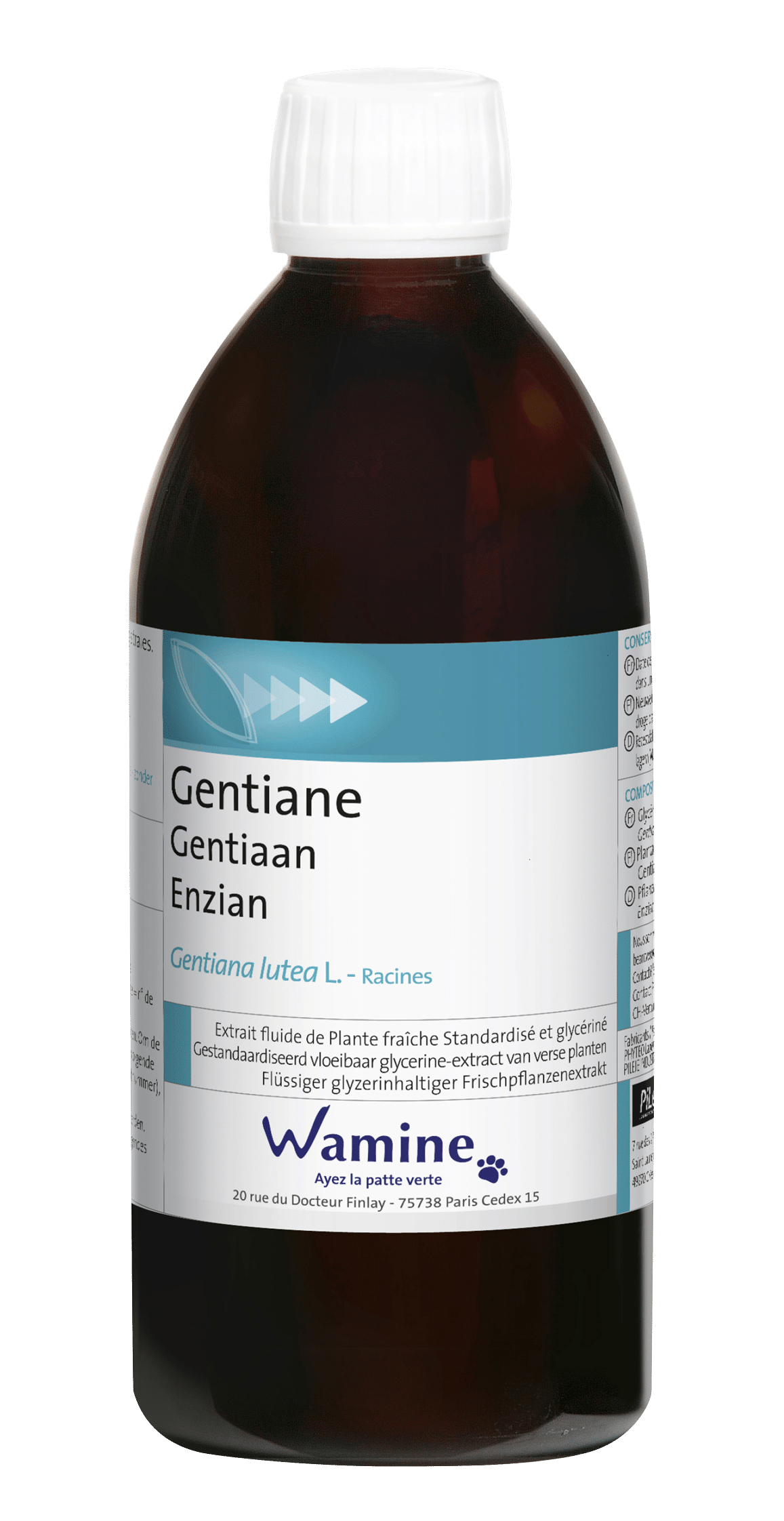 Gentiane - Wamine